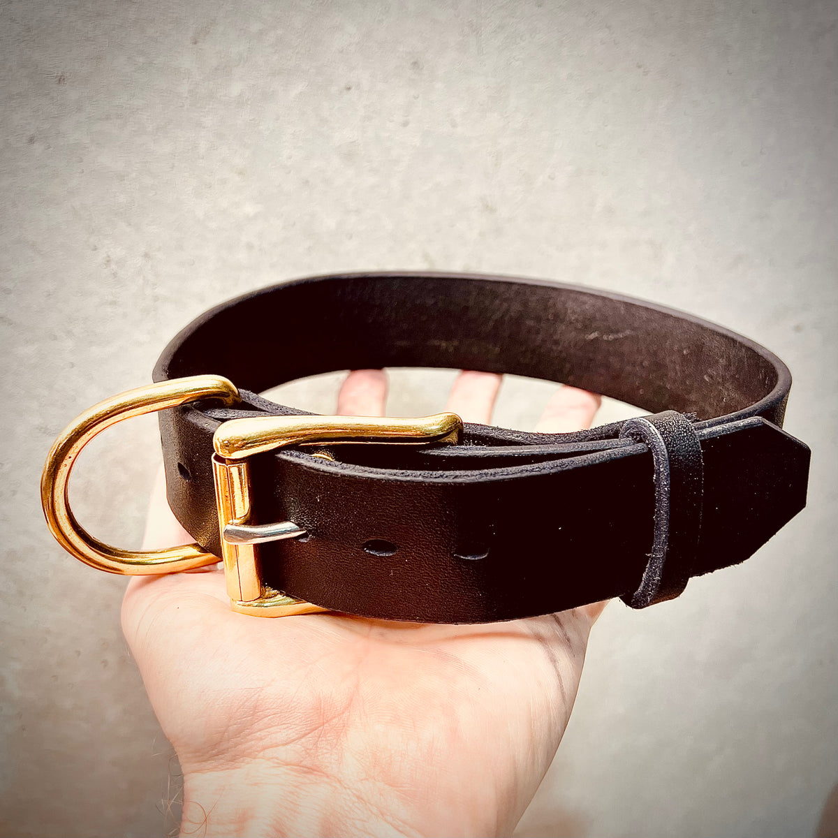 Leather Dog Collars Thick | Australia – Anvil Hide